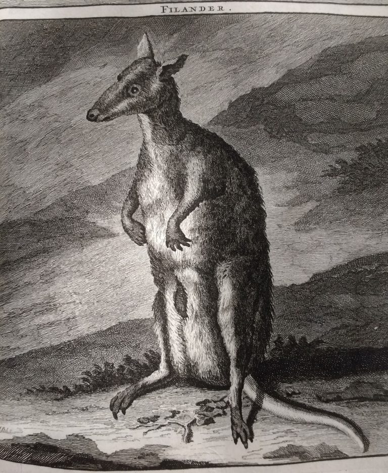 The Rathbone family library – Manuscripts and More